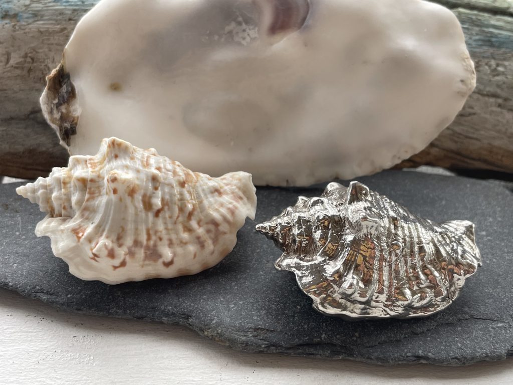 Fighting Conch Shell Sculpture - Thomas P Cochran